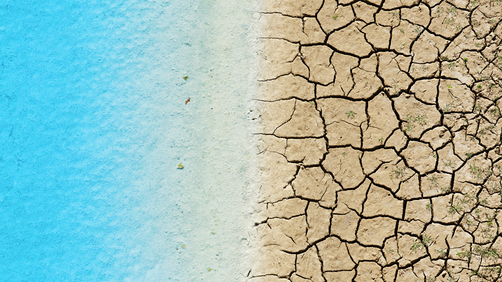 WMO Seeks Youth Proposals for Flood, Drought Resilience | Mirage News
